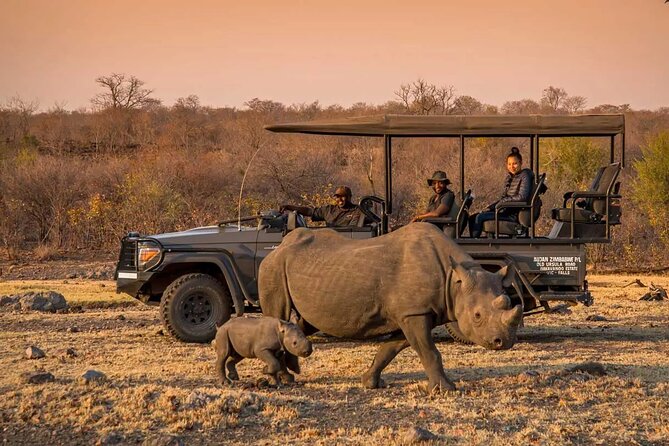 Victoria Falls National Park Game Drive - Mavigo Tours and Travel